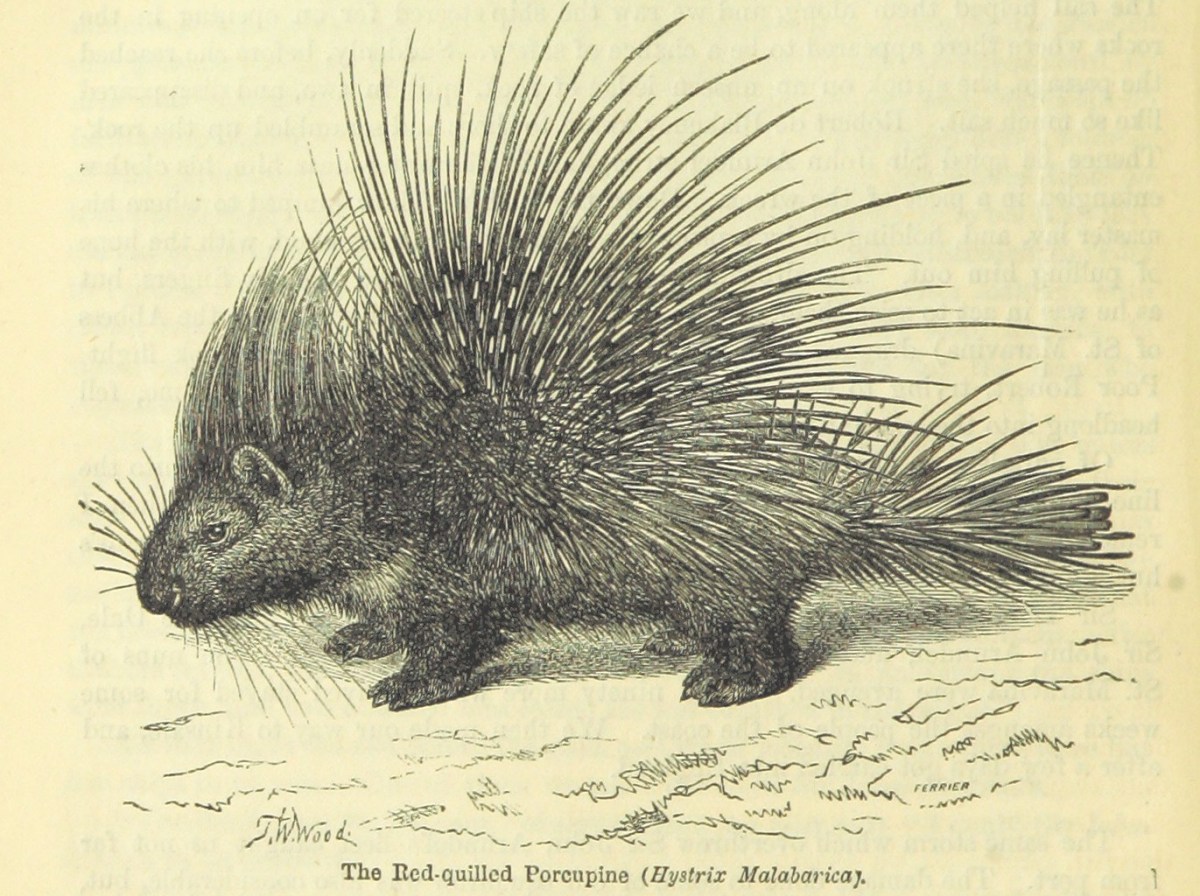 On Point Productions – Bethany Sharp